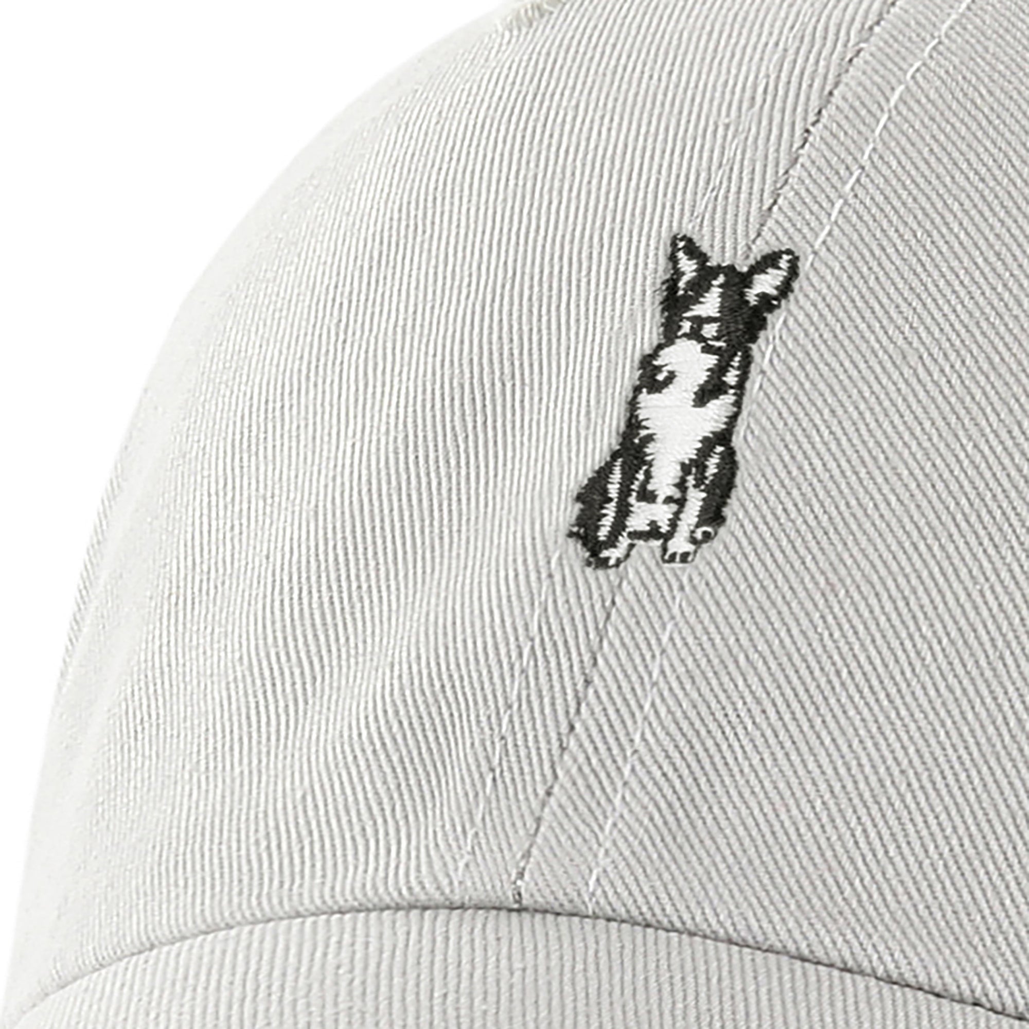 Gorra Curva de Border Collie Base Runner '47 Clean Up
